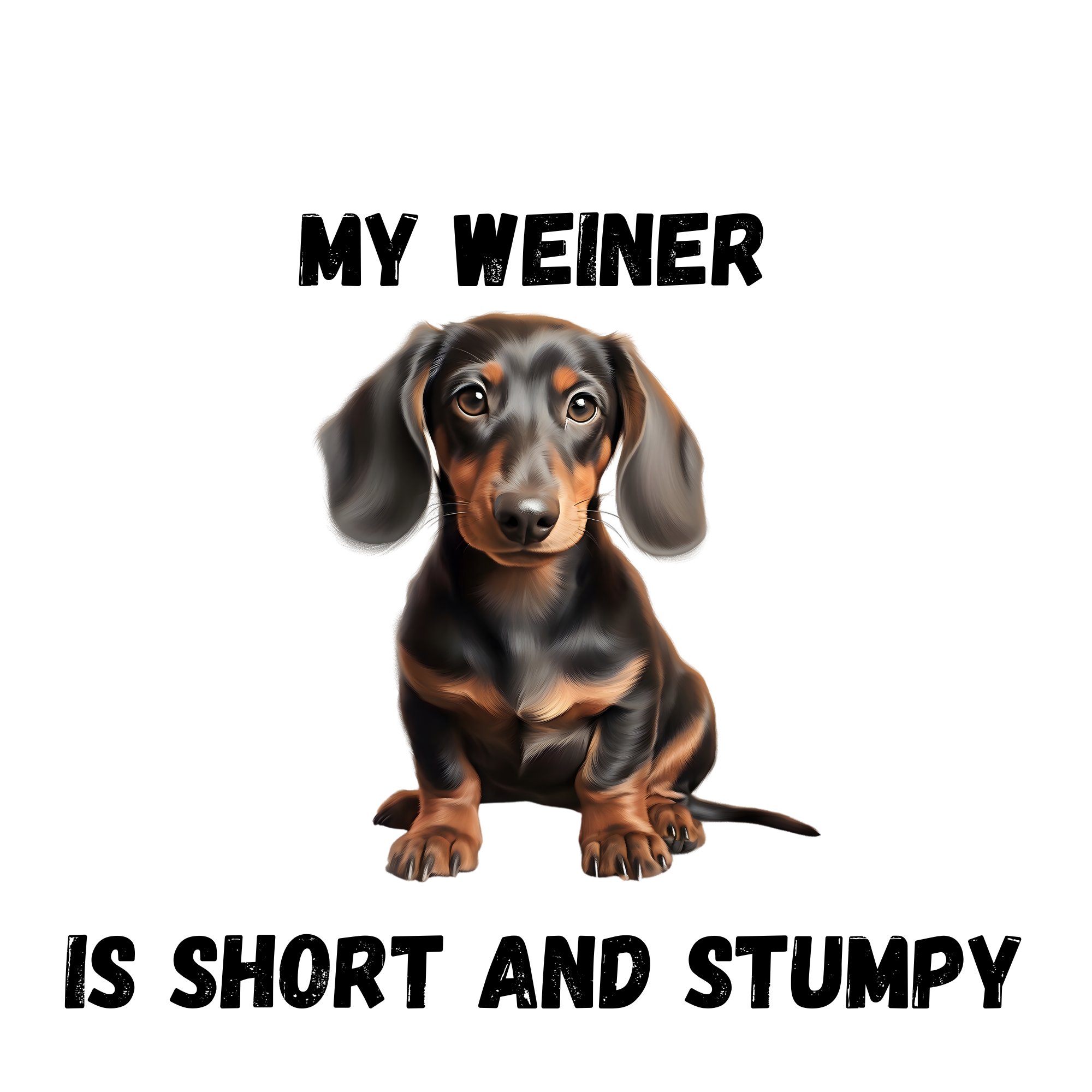 DTF Transfer Sheet - Short and Stumpy